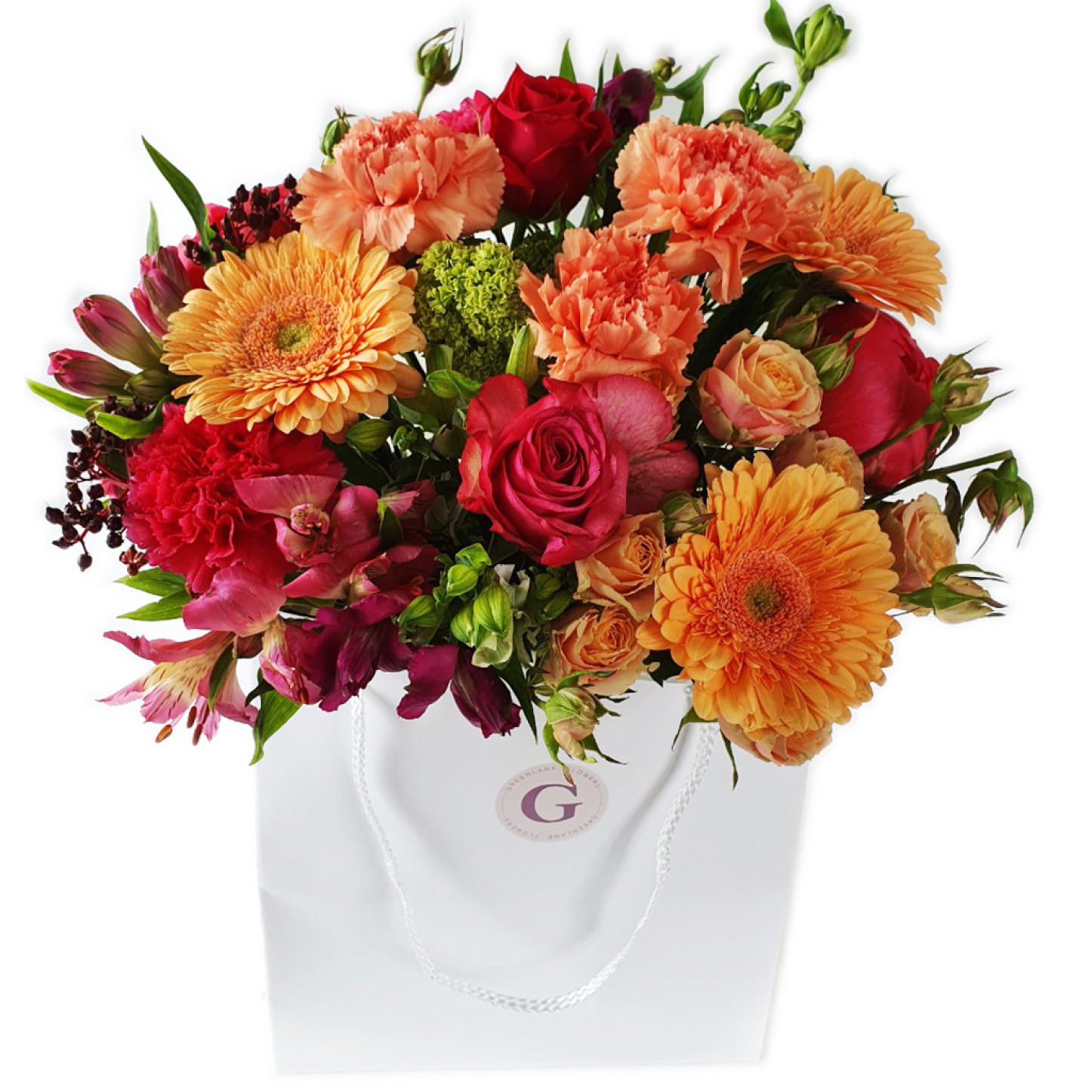 Fiery Gerbera and Rose